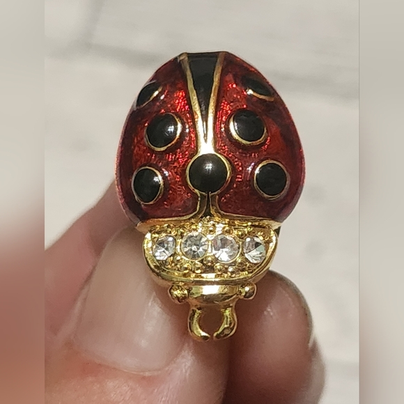 Source Unknown | Jewelry | Vintage Red Black Enamel Ladybugbrooch Pin ...